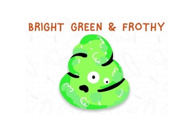 Is green poop normal for newborns? Read more about: http